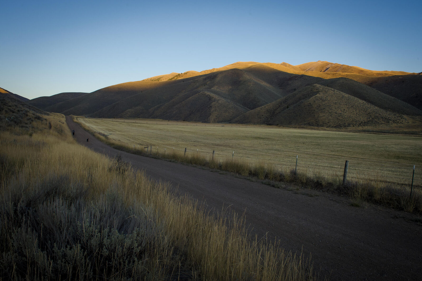 MLS#18-322891: 1430 Fox Acres Rd, Hailey, ID 83333