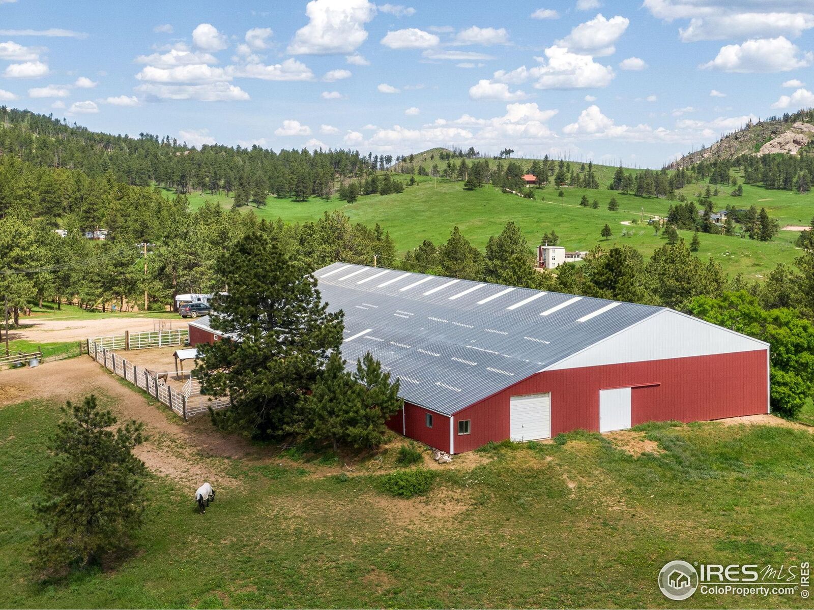 Home for sale in Bellvue: 89 Aspen Leaf Ln, Bellvue, CO 80512