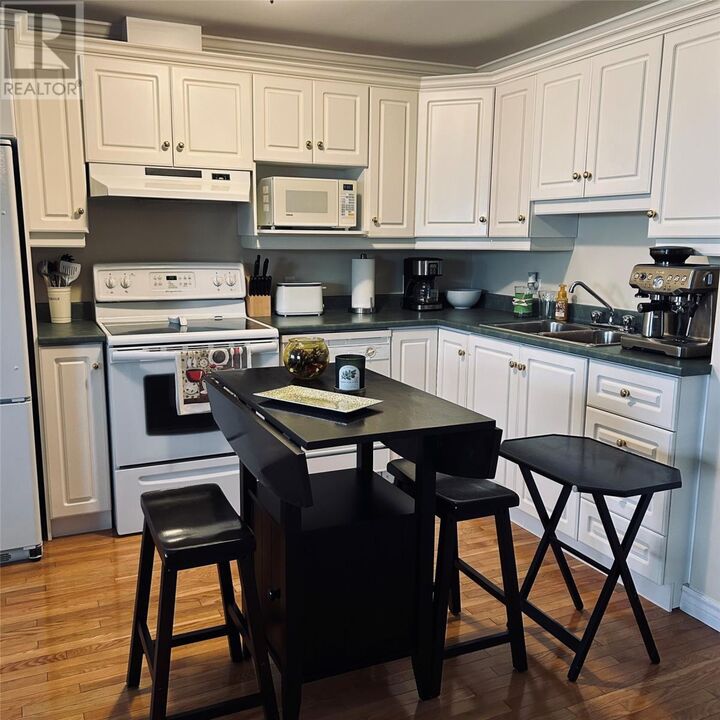 Home for sale in St. John'S: 153 Patrick Street 202, St. John'S, NL A1C 6B8